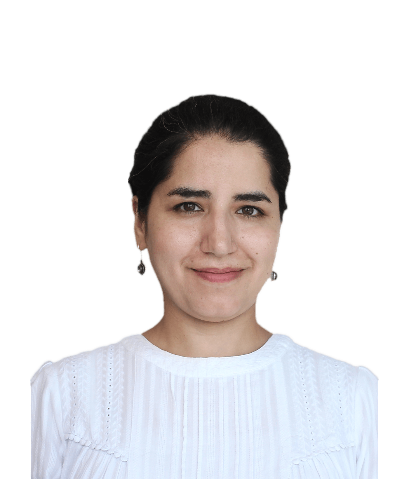 online application form